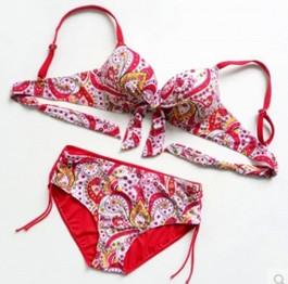 China Women's Plus-size big chest C, D, E, F cup Bikini for sale