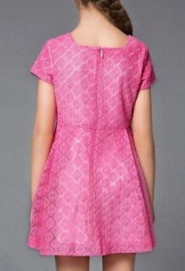 China New 2016 Summer Dresses of  Girls,pink Lace Princess Dress With Short Sleeves for sale