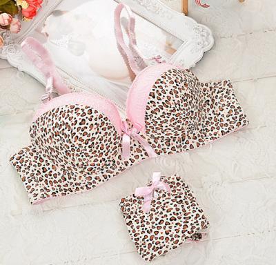 China Leopard Missy bra bridfs set, Ladys sexy underwear,grils red bra set, bridal lace bra, for sale