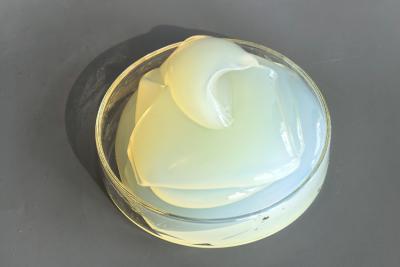 China Elastic Acrylic Emulsion Waterproofing Strong Bonding Easy Application for sale