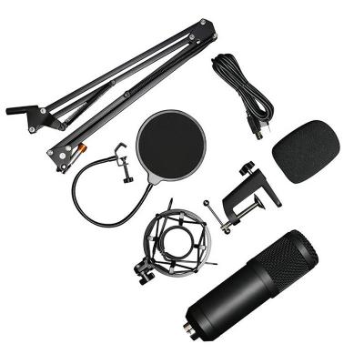 condenser tube microphone