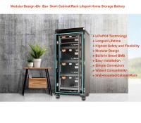 China Smart 48V LiFePO4 Battery for sale