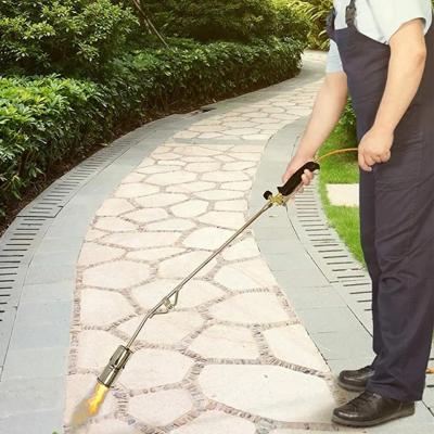 Cina 66KW normale calore di ingresso gas propano torcia bruciatore di erbe infestanti per giardino e strade in vendita
