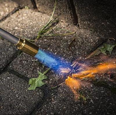 Cina Torcia di riscaldamento professionale e versatile per lanciafiamme a vapore per erba da giardino in vendita