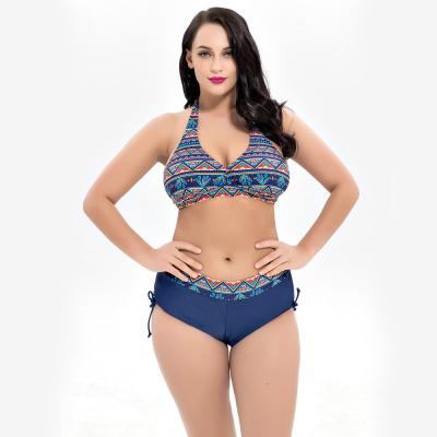 China 2019 New Plus Size Two piece Swimsuit print flower Swimsuit Women Push up 1935 for sale