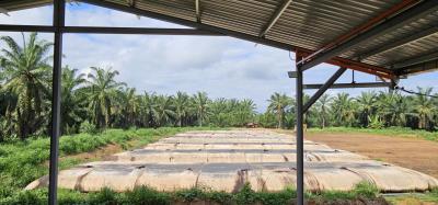 Light and Durable Geotextile Dewatering Tubes 50.5m Length for Dewatering in Cylindrical Design