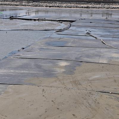 China High Permeability Geotextile Dewatering Tubes For Municipal Sludge Treatment Projects for sale