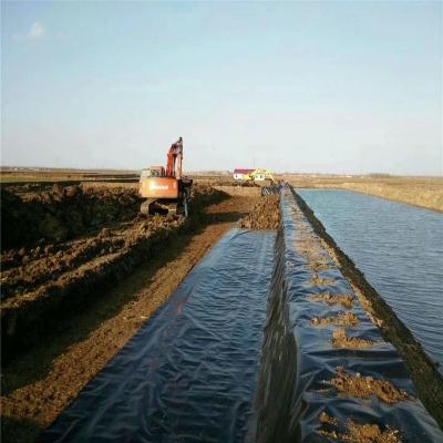 China Waterproof HDPE Geomembrane Pond Liner for Commercial Fish and Shrimp Aquaculture for sale