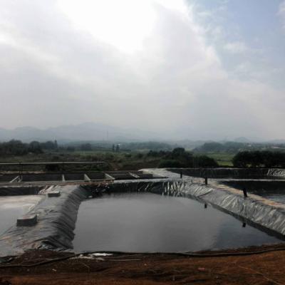 China Temperature Resistant HDPE Geomembrane Liner -70°C to 110°C Extreme Cold Climate Dam Canal Freeze Thaw Protection for sale