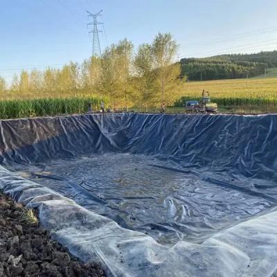 China Tough Mining HDPE Geomembrane Liner For Tailings Dam And Waste Slurry Basin for sale
