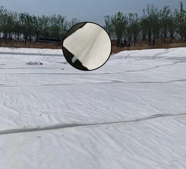 Isolamento composto da construção do túnel do tráfego de Geomembrane da tela não tecida