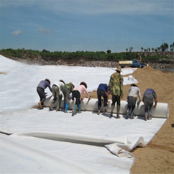 Isolamento composto da construção do túnel do tráfego de Geomembrane da tela não tecida