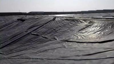 Cina Fodera impermeabile sotterranea Geomembrane 4mm del materiale di riporto dell'HDPE in vendita