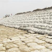 China Water Conservancy Geotextile Geobag Polypropylene Fabric Ecological for sale