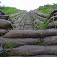 China Environmental Projects Nonwoven Geotextile Geobag With Seeds for sale