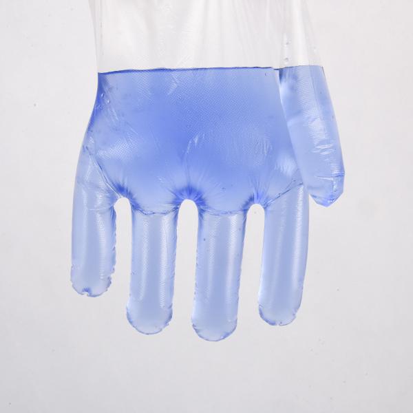 Quality Food Handling Occasion Selection PE Plastic HDPE Disposable Gloves in Transparen for sale