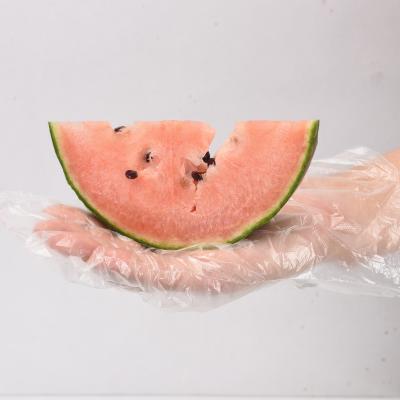China Food Handling Occasion Selection PE Plastic HDPE Disposable Gloves in Transparent for sale