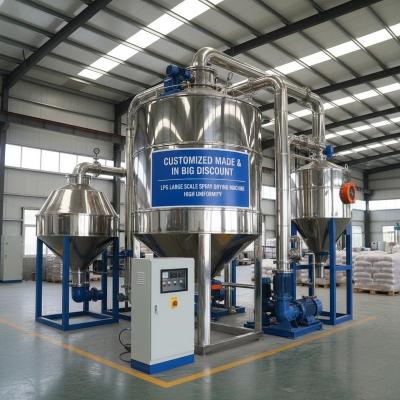 China Customized Made and In Big Discount LPG Large Scale Spray Drying Machine High Uniformity for sale