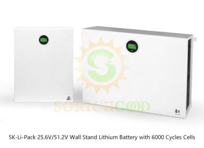 China Versatile Lithium Battery Storage for Homes Small Businesses and More for sale