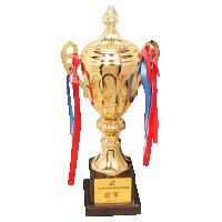 China Sport Trophy Cup Casting Machine Manual Spin Casting Machine for Trophy Awards for sale
