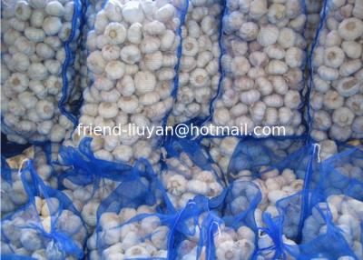 Cina Sacchetto di plastica in plastica in plastica traspirante in vendita