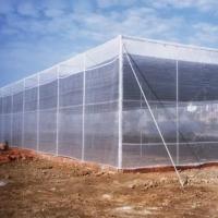 China HDPE 5000S Agriculture Insect Net 50m 100m UV Resistant Mesh 0.5mm 1mm for sale