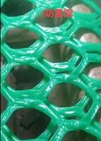 China Polyethylene Mesh Netting 0.2mm Thickness 2m Width Anti Hail Anti Mole Net for sale
