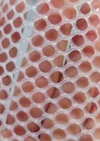 China Polyethylene Mesh Netting 0.2mm Thickness 2m Width Anti Hail Anti Mole Net for sale