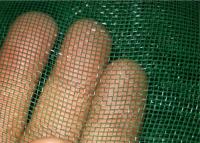 China Green Window Mosquito Net 16x14 Plastic Wire Mesh for Window Screen for sale