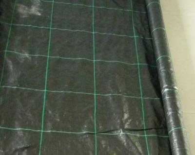 Cina 100 gm antierba Polipropilene copertura di terra PP tessuto copertura di terra di tessuto barriera antierba in vendita