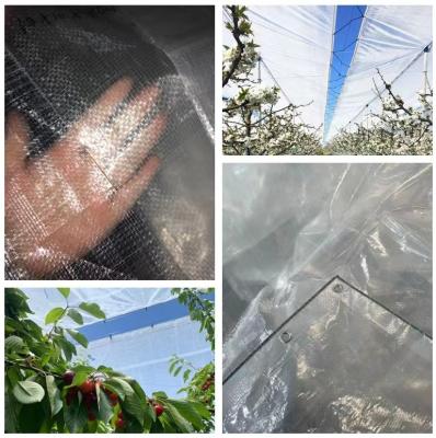 Cina Tela di polietilene agricolo trasparente con forte resistenza alla rottura 150N / 50mm Tela di tessuto verde caldo in vendita