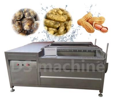 Cina Small industrial scallop seafood automatic cleaning machine/Automatic peanut desilting roller cleaning machine in vendita