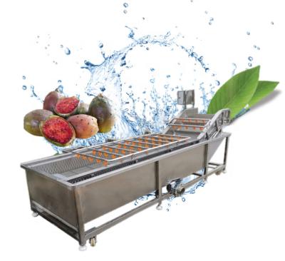 Cina prickly pear fruit cleaning machine/prickly pear line set machine prickly pear fruit in vendita