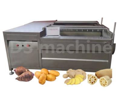 Cina Small industrial potato Peeling cleaning machine/Yam ginger washing machine in vendita