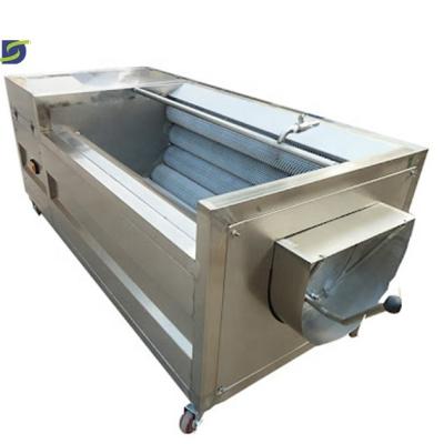 Cina Strong removal of dirt ginger and tumeric washing machine/yam taro root malanga root wool roller cleaning machine in vendita