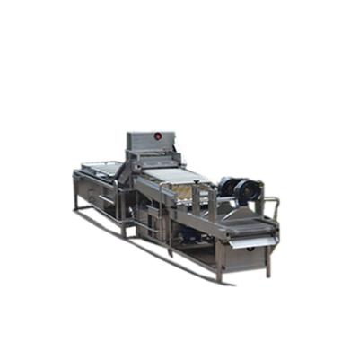 Cina machinery industry equipment vegetable washer salad drying cutting machine industry salad processing equipment in vendita