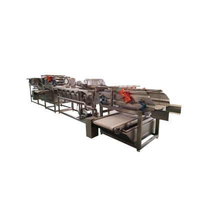 Cina Blueberry lifting conveyor cleaning machine with sorting device in vendita