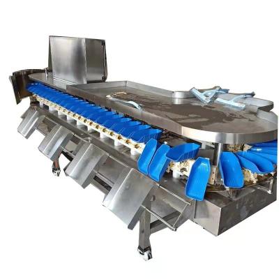 Cina China belt spray washing grading drying machine for potato tomato orange apple in vendita