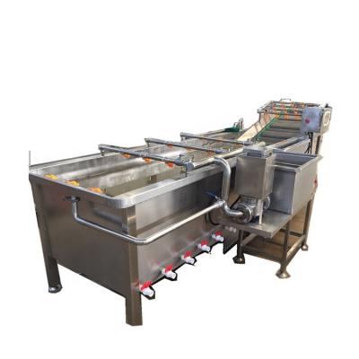 Cina Vegetable washer fruit bubble washing blanching machine Double wave leaf and vegetables cabbage wash machine in vendita