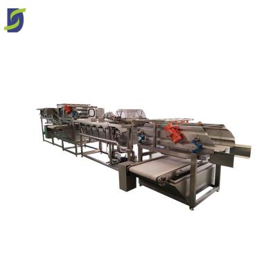 Cina continuous belt type carrot brush polish washing machine removing the soil for vegetable process factory in vendita
