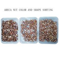 China High Efficiency Optical Color Sorter For Walnut / Pecan / Almond Classification for sale