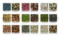 China Nuts Processing CCD Pluses 3T/H Optical Sorting Machine for sale