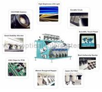 China Nuts Processing CCD Pluses 3T/H Optical Sorting Machine for sale