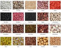 China Nuts Processing CCD Pluses 3T/H Optical Sorting Machine for sale