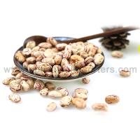China Nuts Processing CCD Pluses 3T/H Optical Sorting Machine for sale