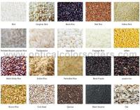 China Grain Processing CCD 6 Chutes Rice Color Sorter for sale