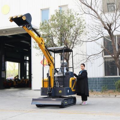 Cina Mini Excavator telecomandato 1 CE EPA di Ton Hydraulic Digger in vendita