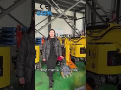 Zappatori minuscoli di scavatura dell‘attrezzatura di Mini Excavator 1000kg del compatto idraulico del CE