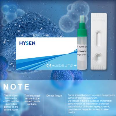 Cina Cassetta di test rapido di anticorpi H.pylori Ab ad alta sensibilità e precisione per il test sanitario in vendita