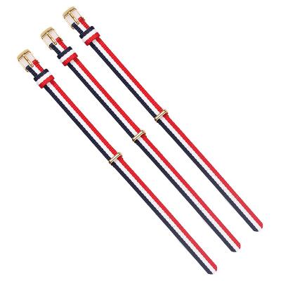 Cina cinturini di nylon stretti della cinghia di 20mm con hardware delicato PVD in vendita